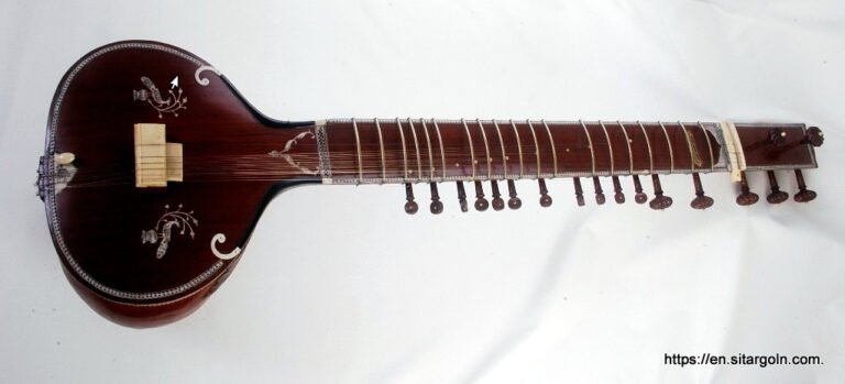 How many strings does a sitar have? - Sitar Gurukul, GOLN | English